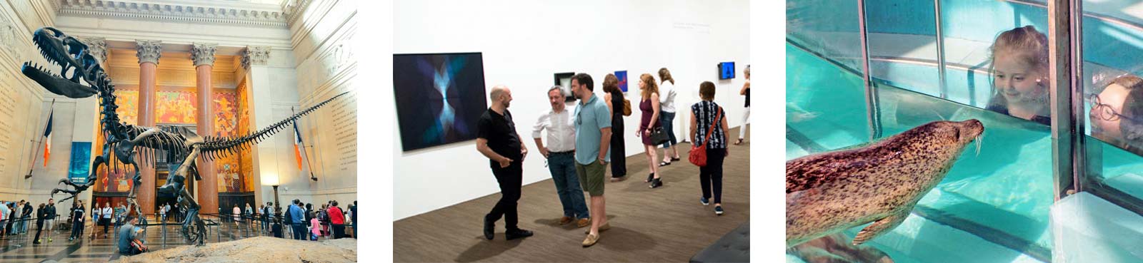 Museum Pass Program Information - Pound Ridge Library